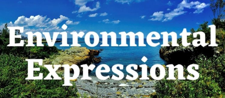 Environmental Expressions | The Alexey von Schlippe Gallery of Art